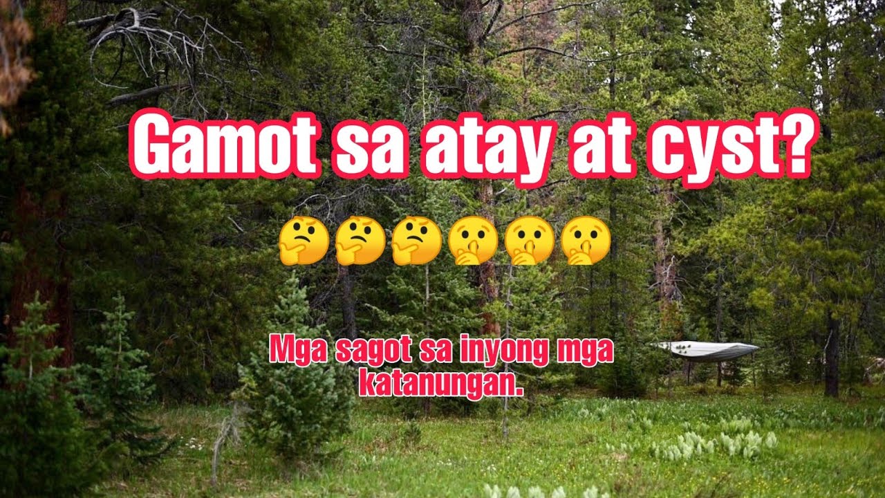 Gamot sa Atay at cysts? Herbal na Gamot - YouTube