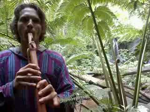 Paul Rainforest song - YouTube