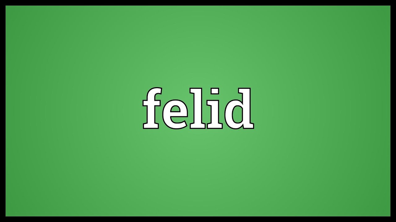 Felid Meaning - YouTube