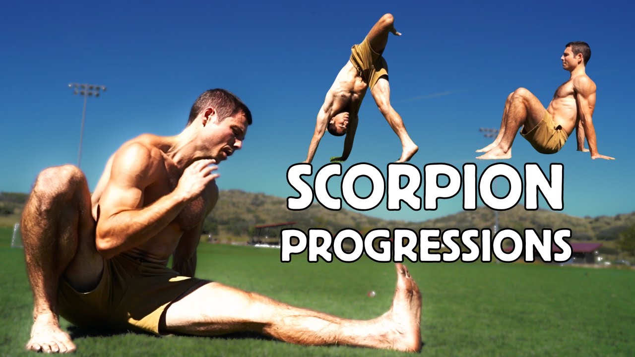 Scorpion Progressions - Animal Movement Tutorial - YouTube
