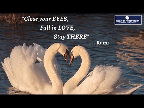 Rumi Quotes on Love || Best Rumi Quotes || Happy Valentine's Day