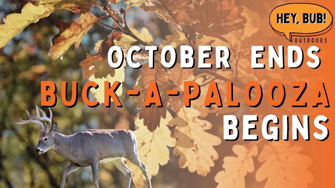 Hey, Bub! HUNT- October Ends & Buck-a-palooza Begins! #bowhunting # ...