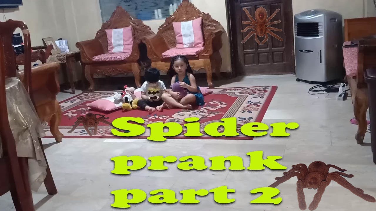 Spider Prank Part 2 - YouTube