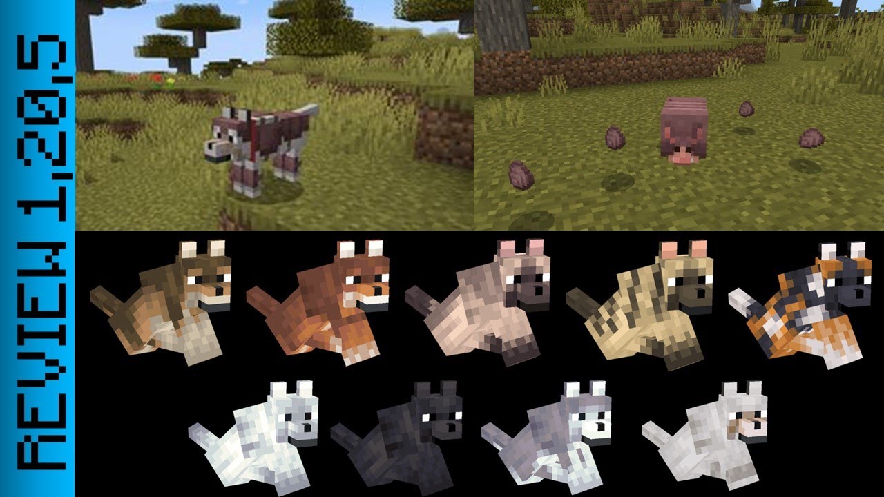 Minecraft 1.20.5 Review - YouTube