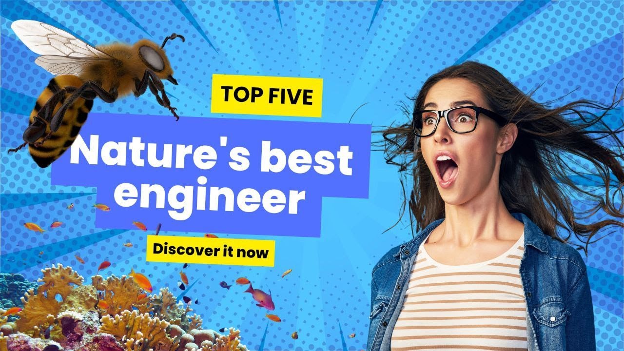 5 Incredible Feats of Engineering in Nature! - YouTube