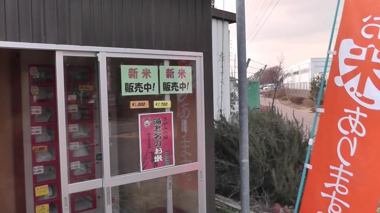 Rice Vending Machine - YouTube