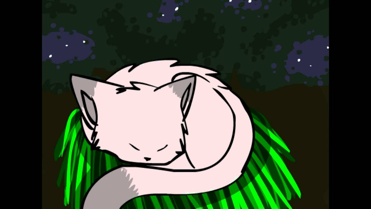 Warrior cats AMV - Dovepaw and Ivypaw - YouTube