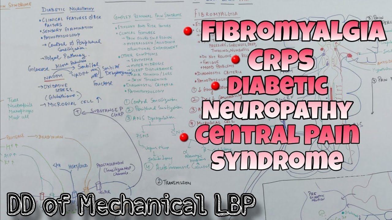 Differential diagnosis of Mechanical Low Back Pain | Neurogenic pain ...