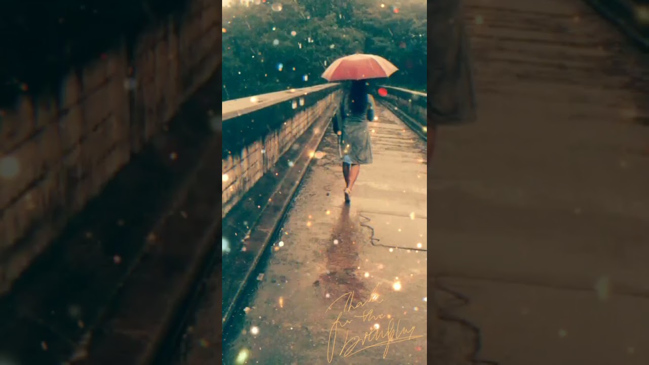 #university_of_peradeniya 💓#akbar_bridge ️‍🔥😍😍😍😍😍😍😍😍😍😍😍 - YouTube