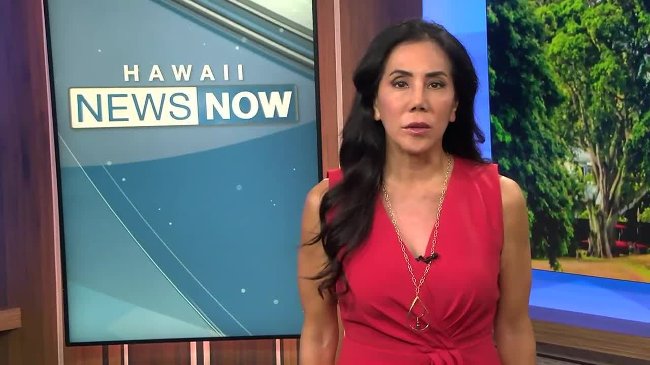 2 high-profile attorneys for alleged crime boss Mike Miske could be ...