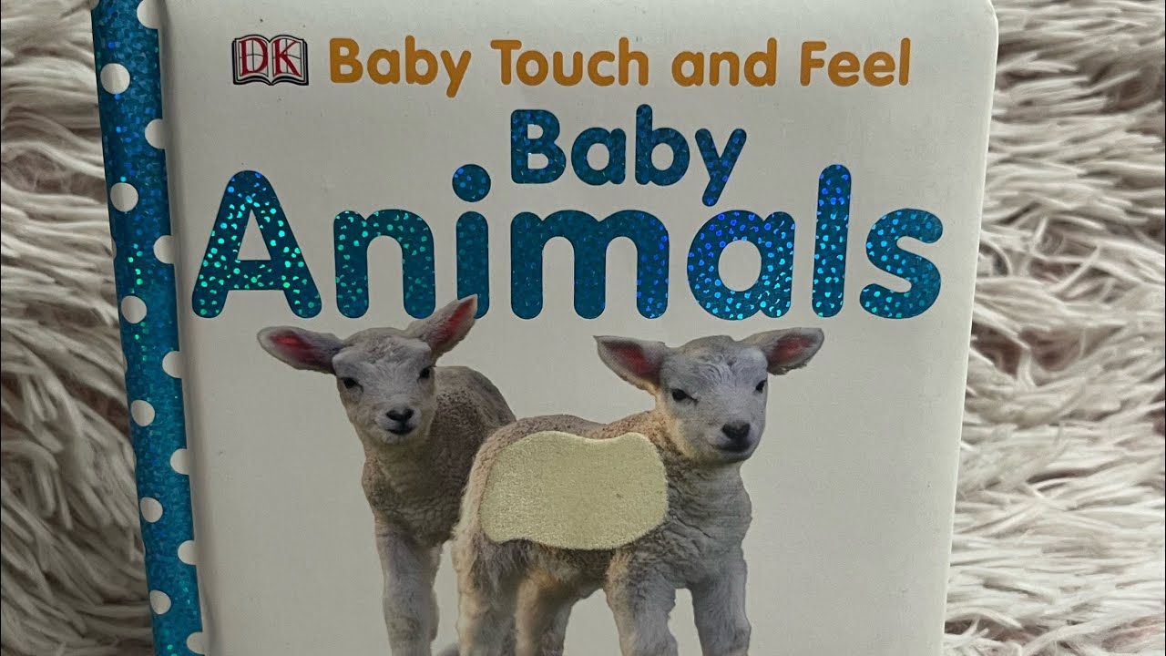Baby Animals - read aloud board book - YouTube