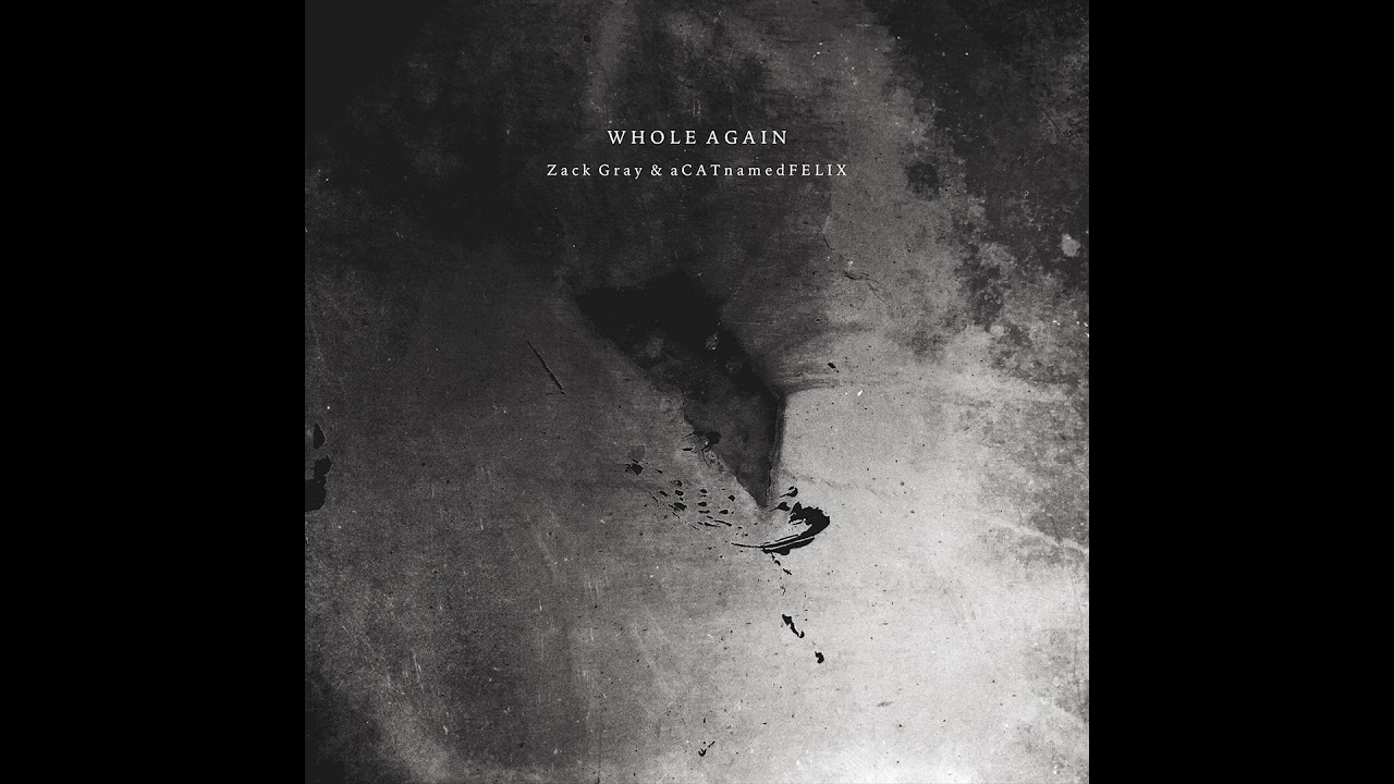 Zack Gray x aCATnamedFELIX - Whole Again (Official Audio) - YouTube