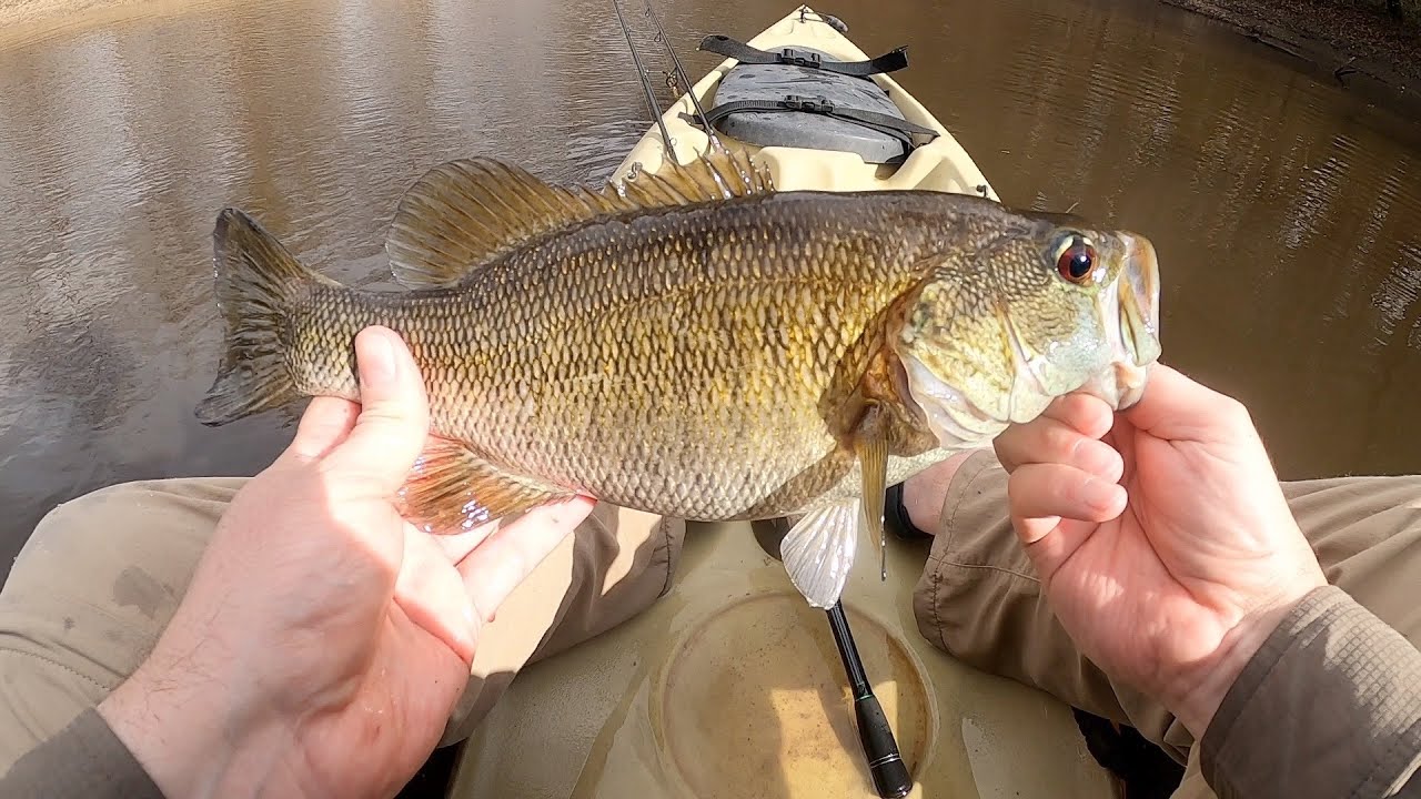 Georgia Suwannee Bass | Part 2 - YouTube