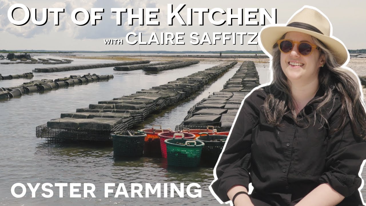 OYSTER FARM TOUR WITH CLAIRE SAFFITZ | OUT OF THE KITCHEN - YouTube