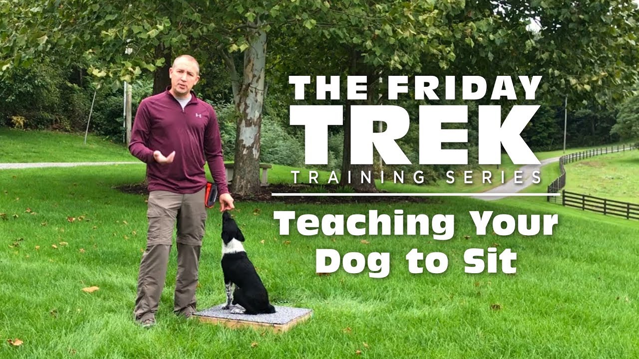 The Friday Trek - EPISODE 1: Teaching Your Dog to Sit - YouTube