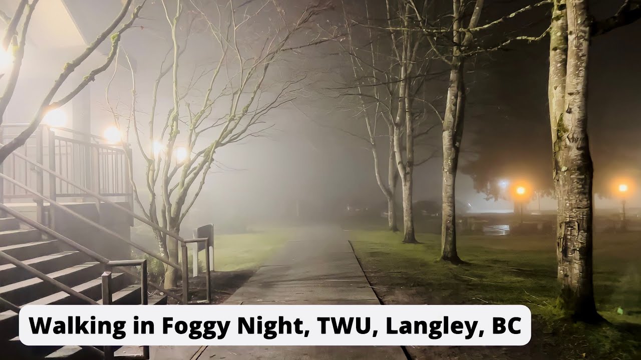 Foggy Evening Walk at Trinity Western University (TWU), Langley, Canada ...