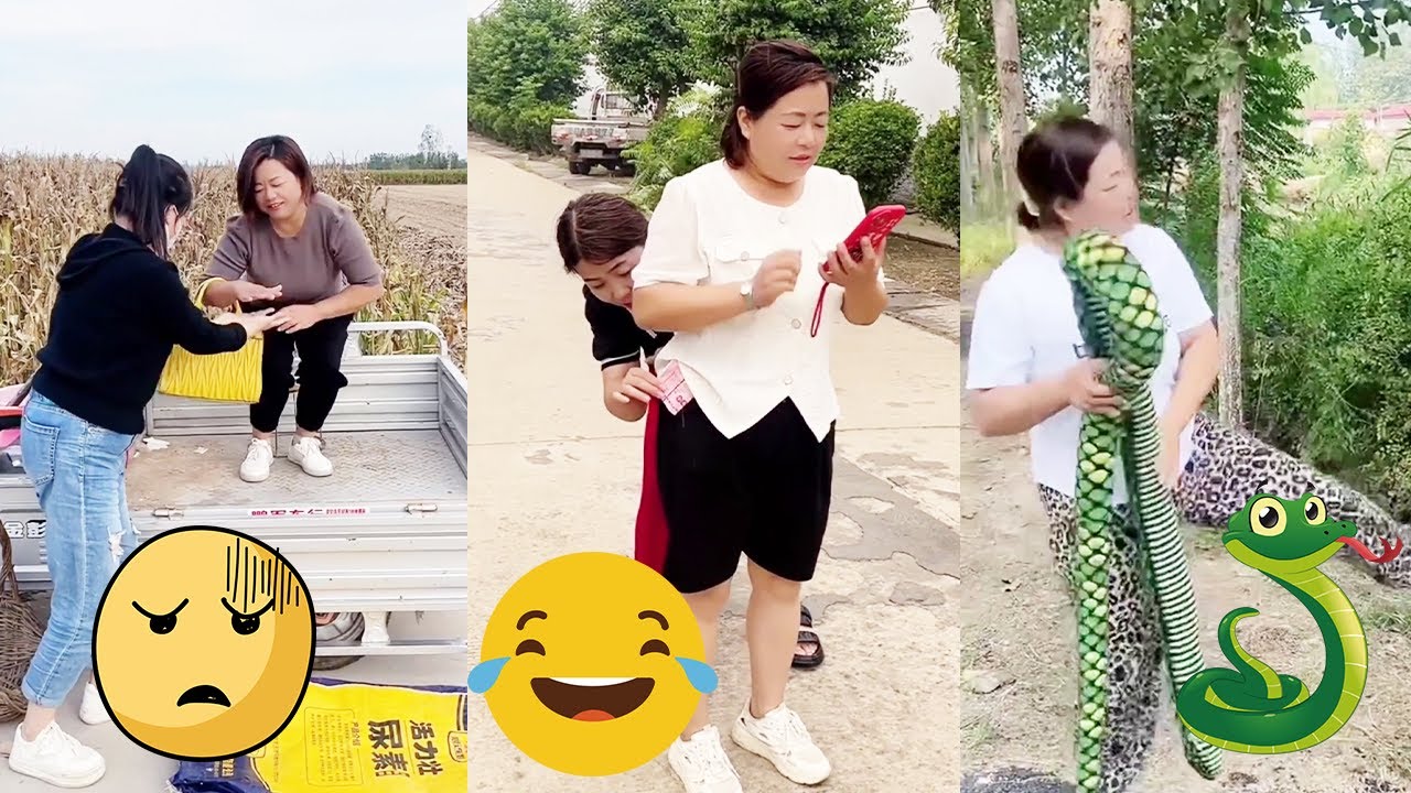 Ask my sister-in-law to come work in the fields😺😍 ,Best Funny Videos ...