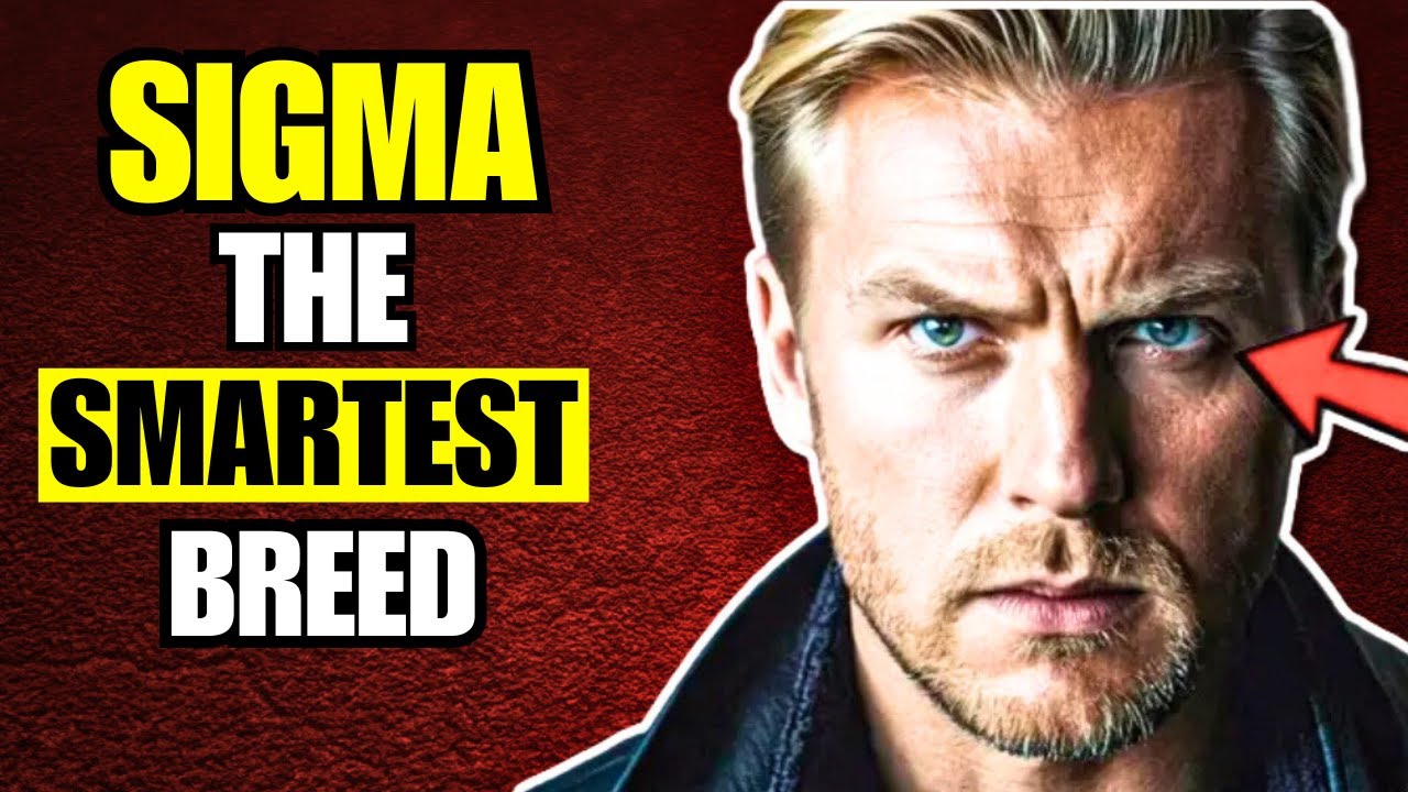 Why Sigma Males Are the Smartest Breed - YouTube