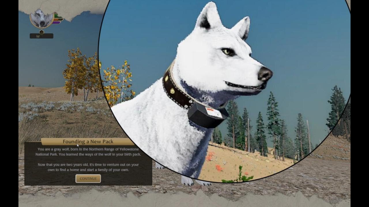 WolfQuest AE Accurate Ironwolf Legacy: Learning to hunt - YouTube