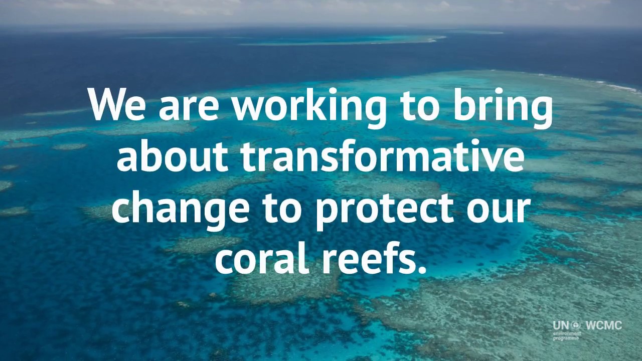 Reef Quotes Coral Reefs Sustain Wildlife