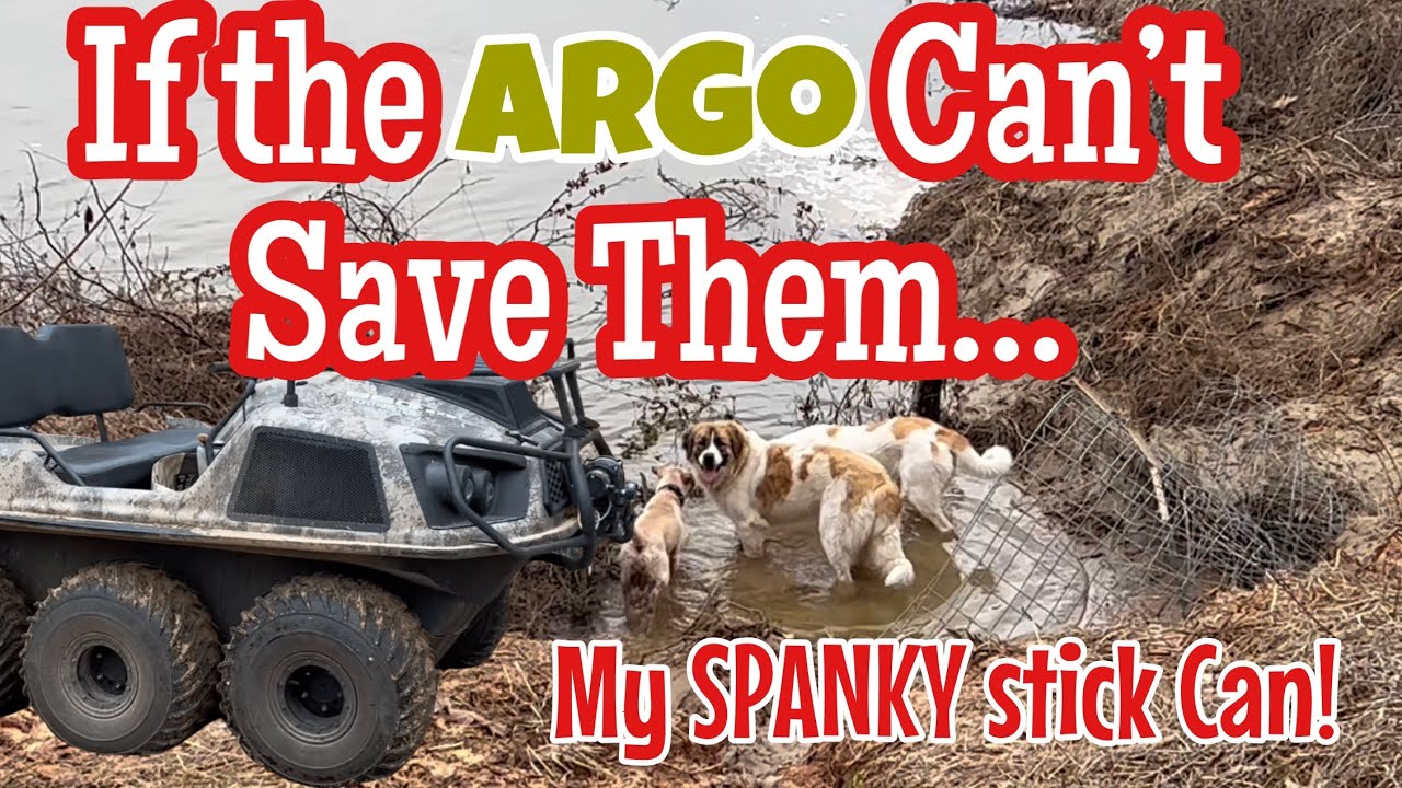 If the ARGO can’t save them… - Go IT If the ARGO can’t save them… - Go IT