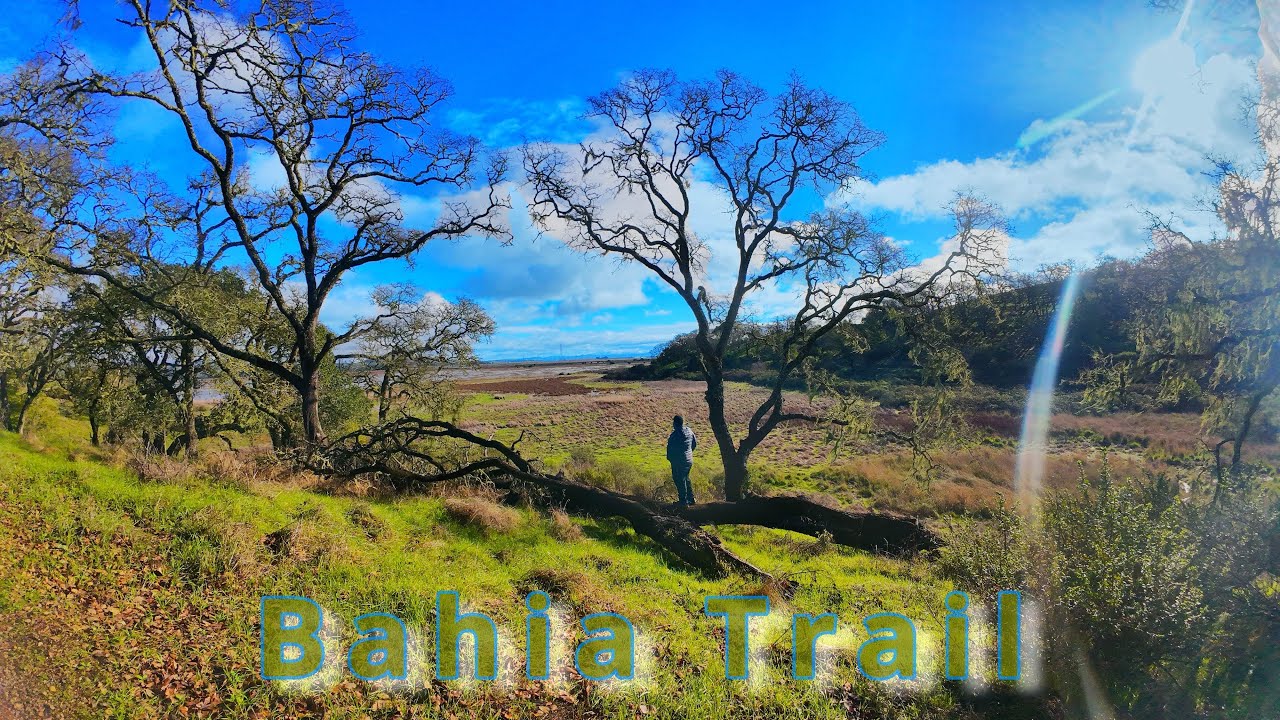 What hiking the Bahia Trail in Novato? - YouTube