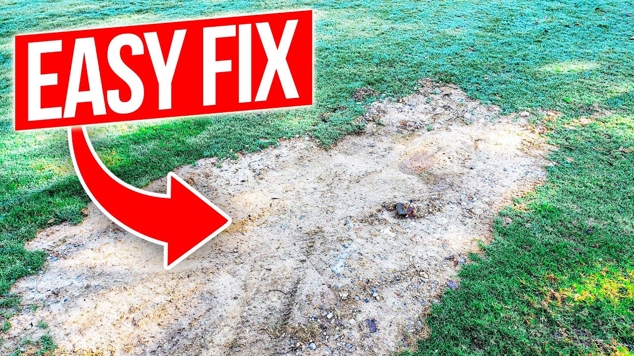 My Grass Bare Spot Repair Strategy - How to Fix a Bald Spot in the Lawn ...