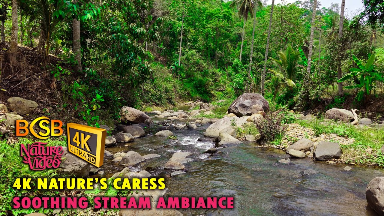 4K Nature’s Caress: Soothing Stream Ambiance | Rejuvenate Your Mind ...