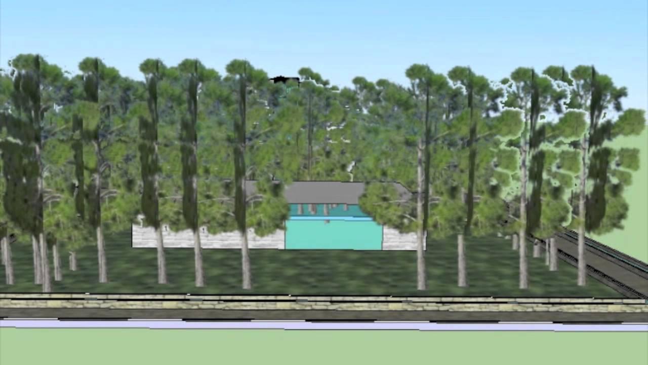 Banyan-Tree Project - YouTube