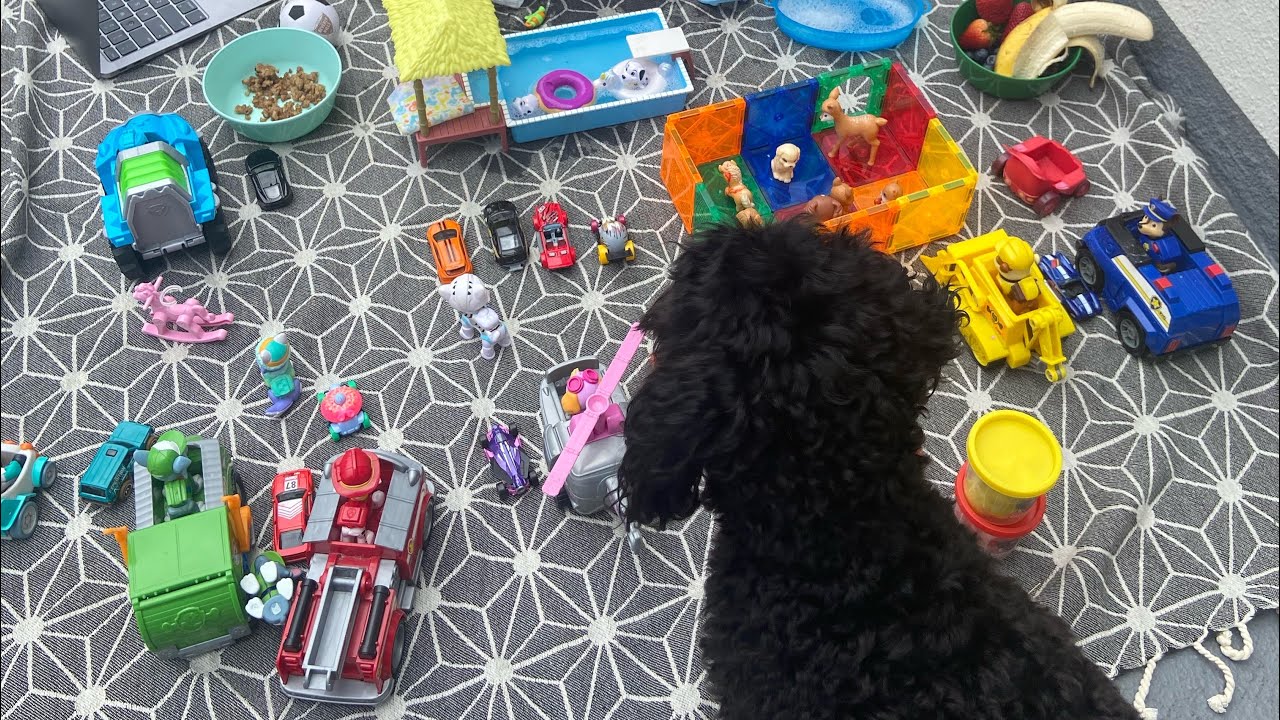 Paw Patrol toys pool party - YouTube