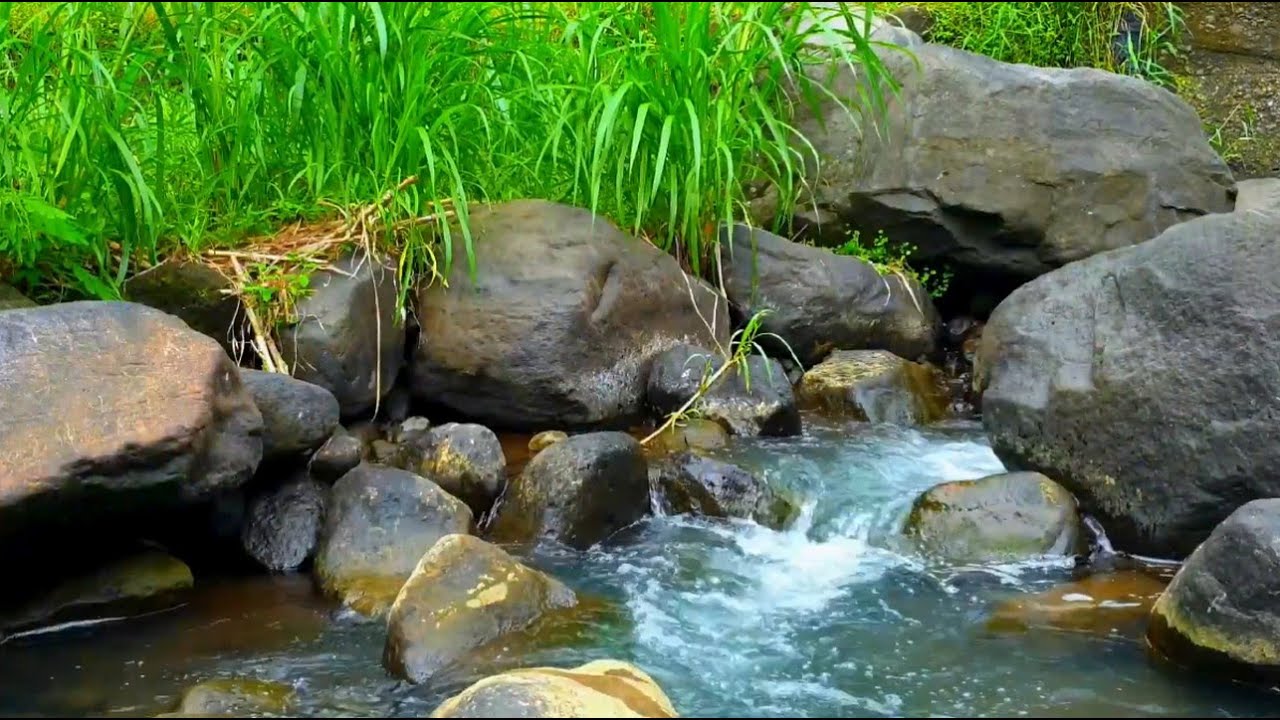 Natural Gentle Stream – Soft Water Flow & River Sounds to Calm Your ...
