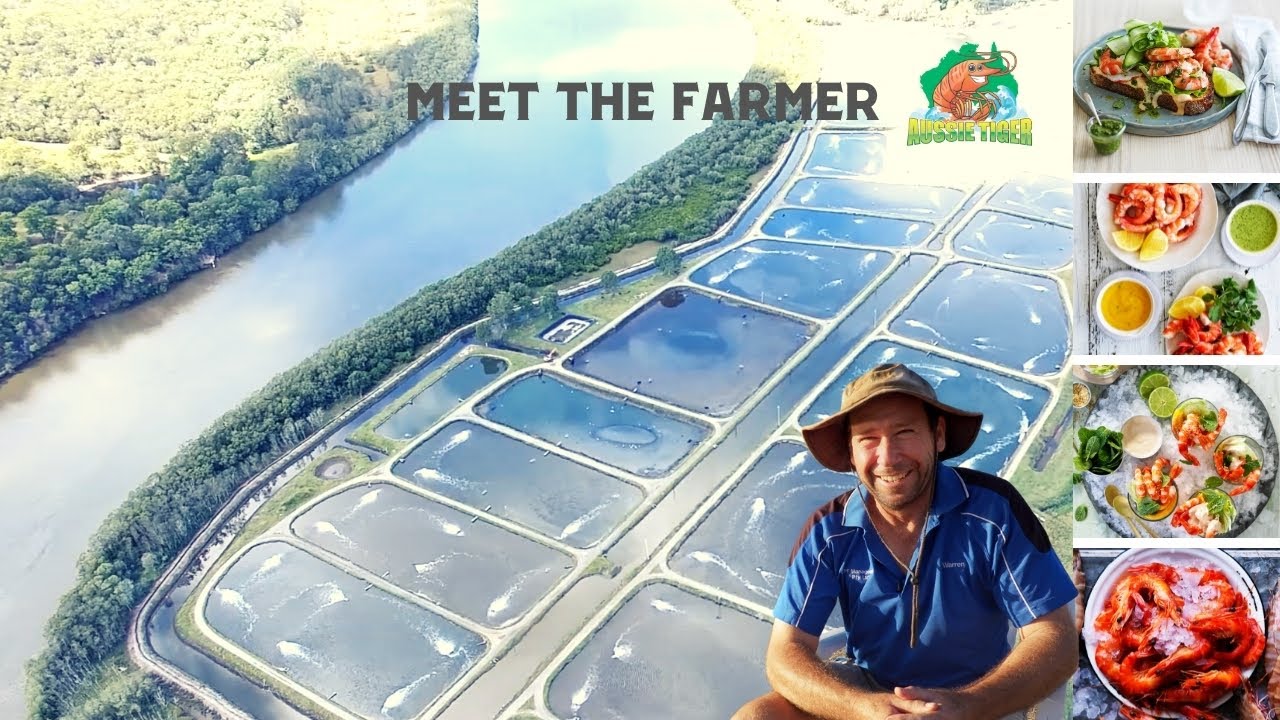 Truloff Prawn Farm Gold Coast 🇦🇺🦐 - YouTube