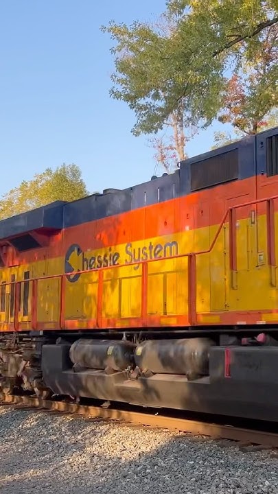 CSX 1973 CHESSIE SYSTEM HERITAGE UNIT - YouTube