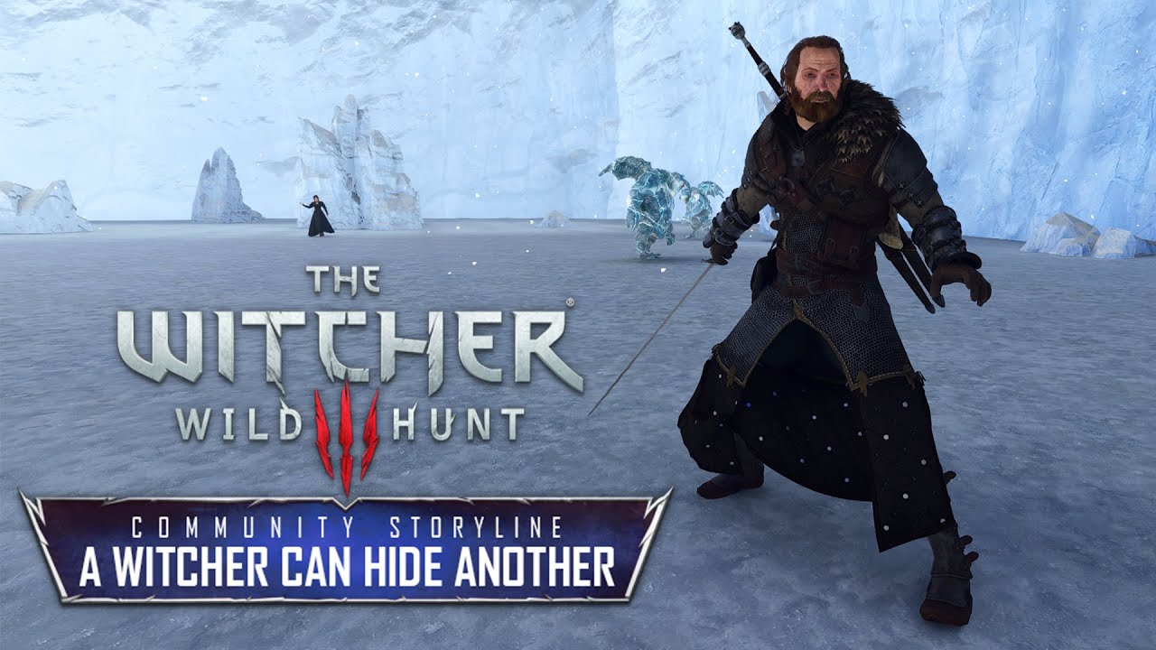 The Witcher 3: A Witcher Can Hide Another. A Community Storyline ...
