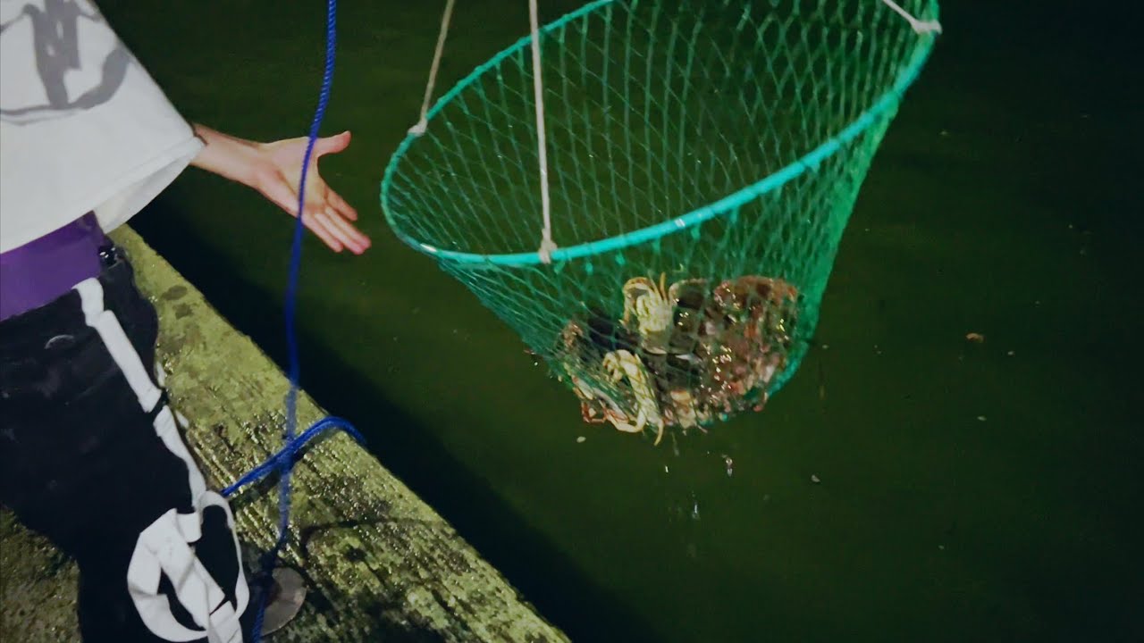 how to catch a crab 101 - YouTube