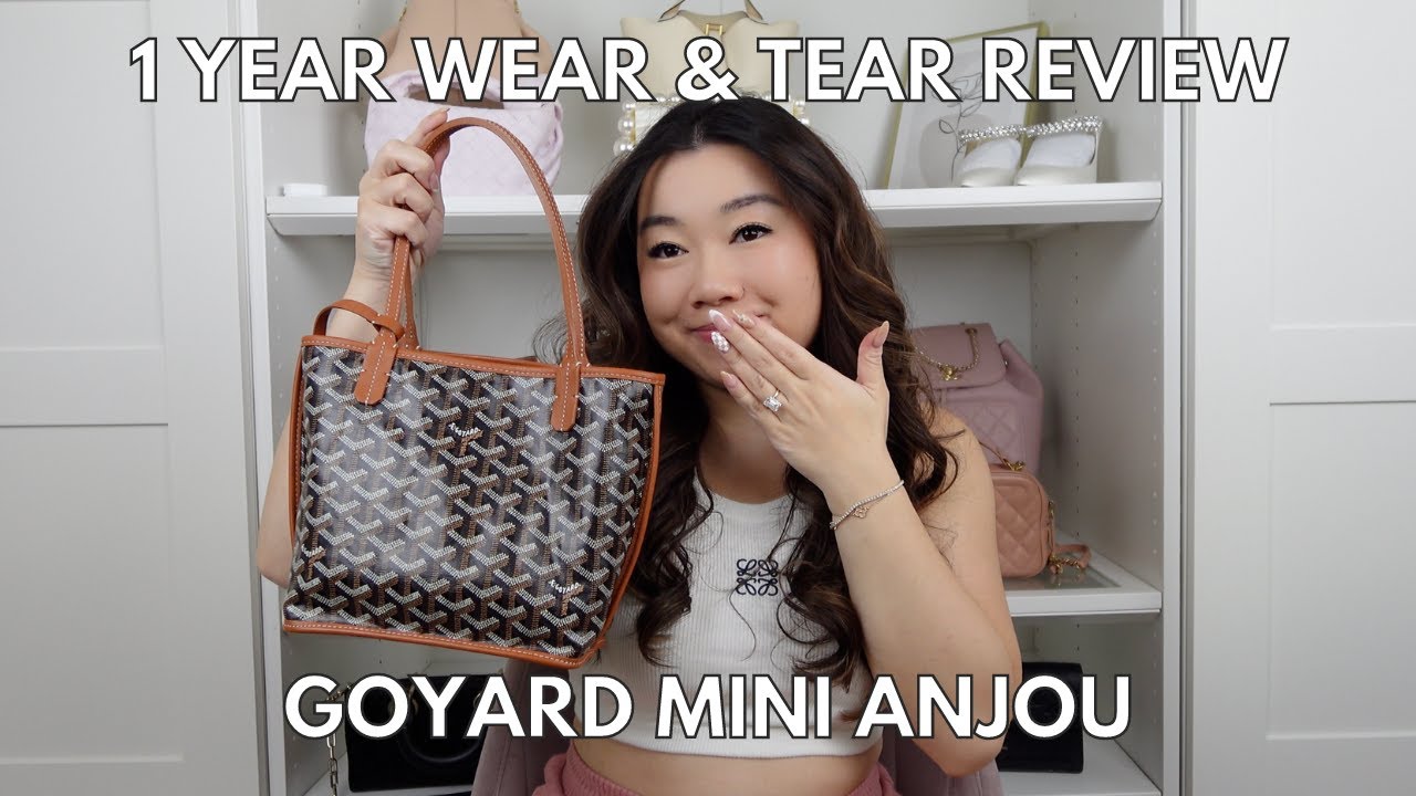 1 YEAR REVIEW: GOYARD MINI ANJOU | IS IT TOO TRENDY ?? - YouTube