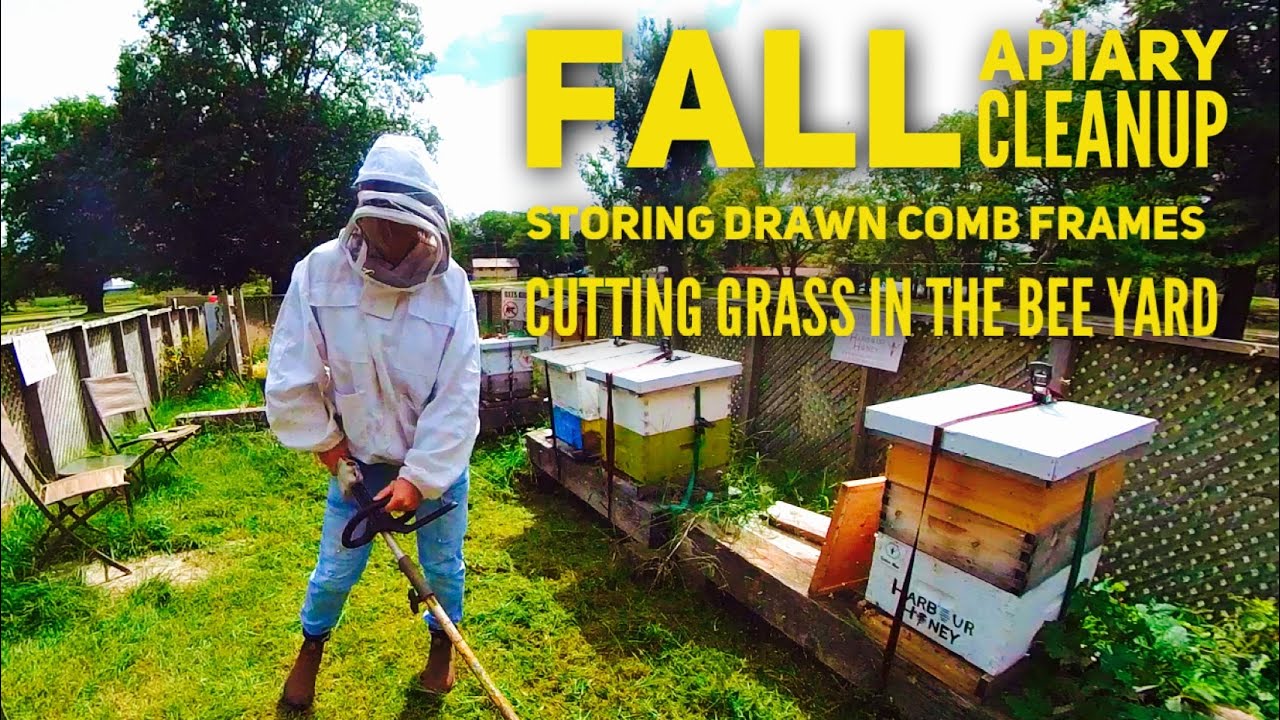 Storing Drawn Comb Frames & Cutting Grass Safely around #Bees - YouTube