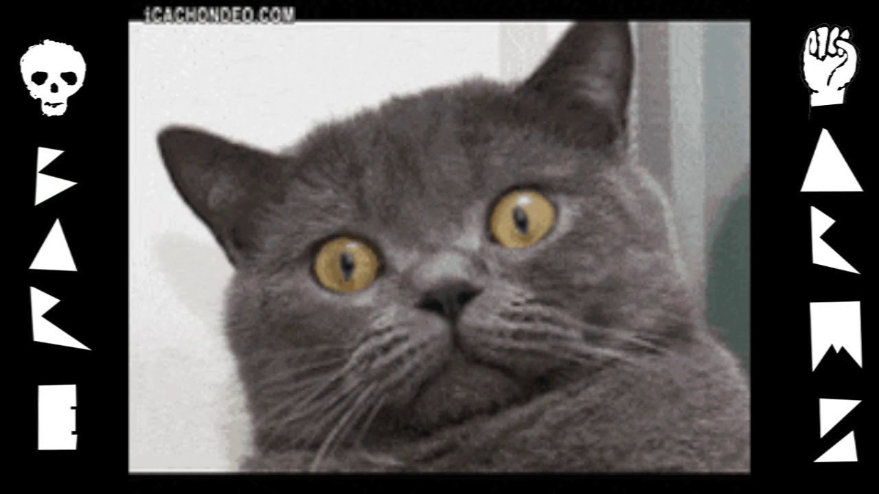 Old Long Johnson - Bare Arms - YouTube