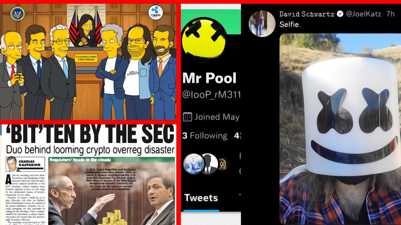 RIPPLE/XRP SCHWARTZ MR POOL! FUTURE GAINS ARE IN XRP!! - YouTube