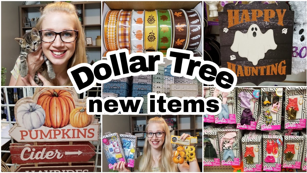 Dollar Tree Haul Shop With Me New Fall Name Brand Items YouTube dollar-tree-haul-shop-with-me-new-fall-name-brand-items-youtube