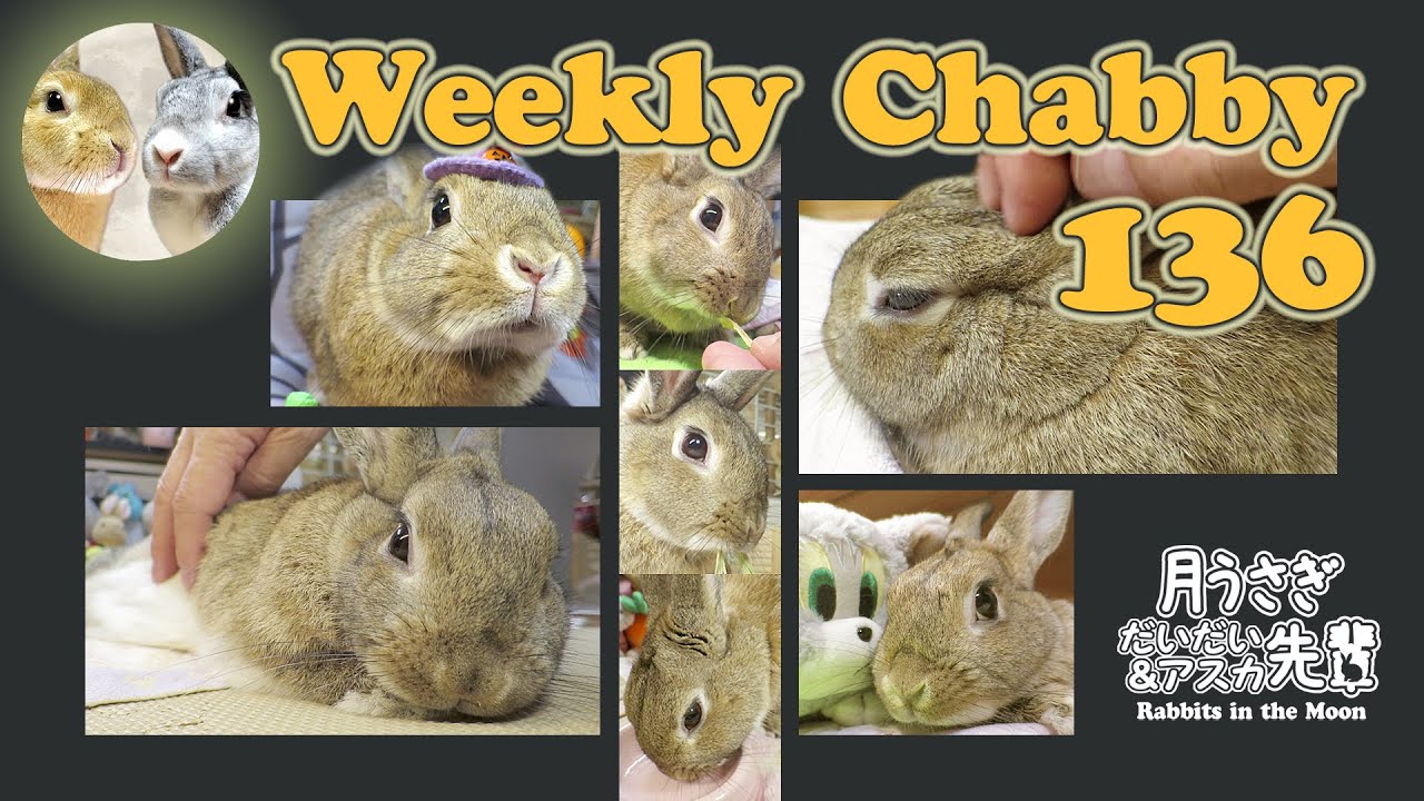 Weekly Chabby 136 - YouTube