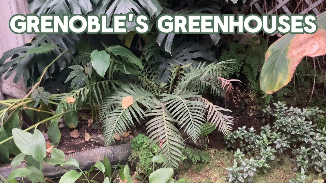 Grenoble's Botanical Greenhouses - YouTube