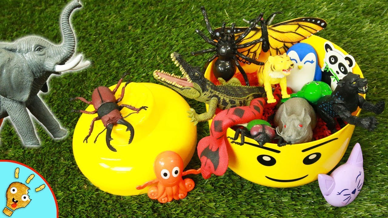 Learn Animals in GIANT LEGO Head with Squishee Nugget - YouTube