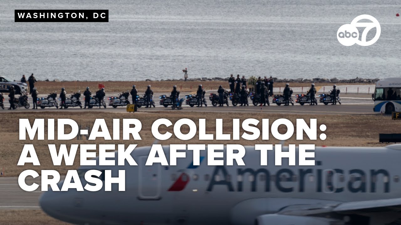 Mid-air collision: Retired aviator shares insight into crash-prevention ...