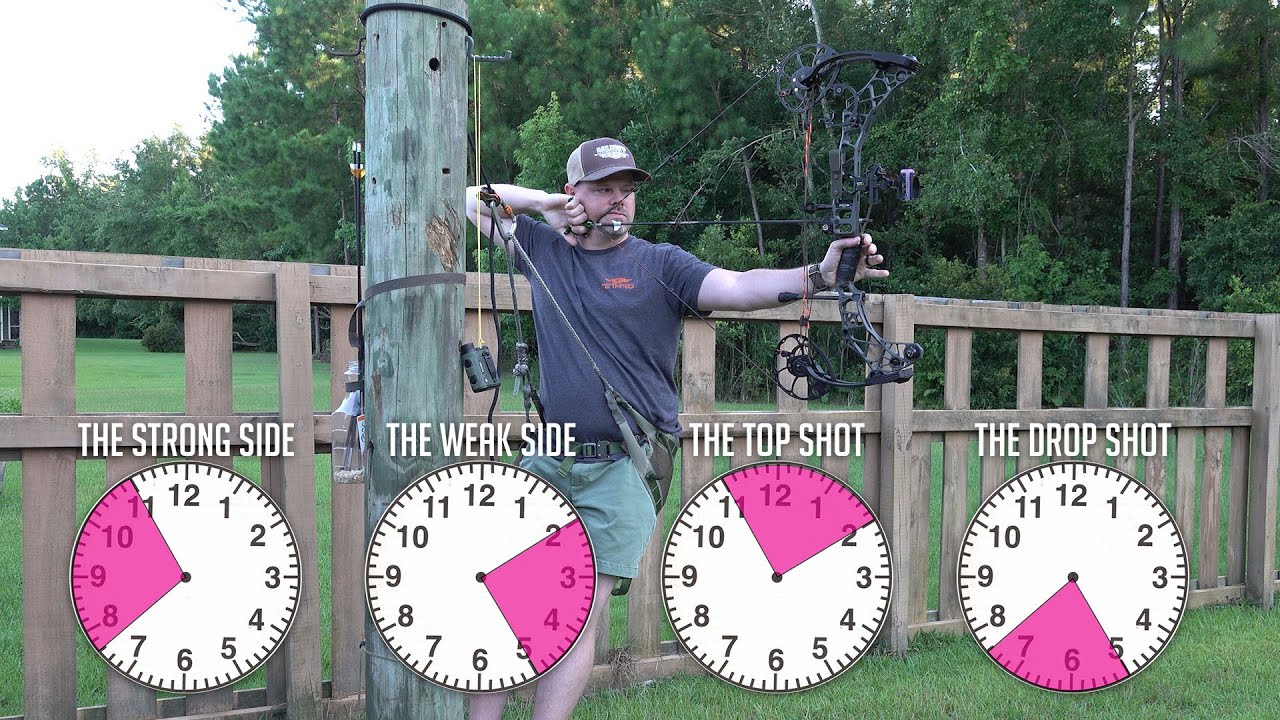 Build a back yard saddle hunting tree - CHEAP and FAST - YouTube