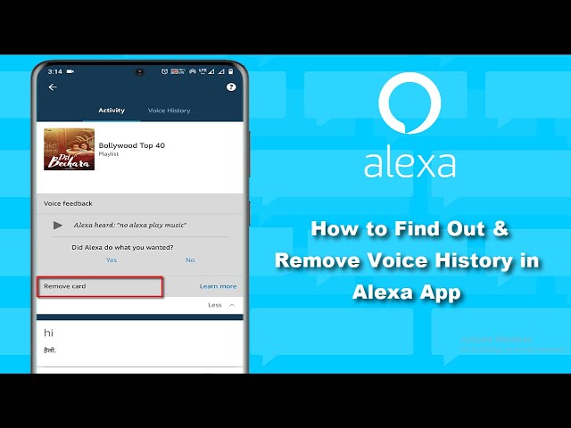 Amazon Echo App History