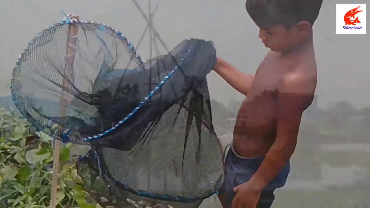 Amazing Catching Fish With Lift Nets | Traditional Fishing with Chinese ...