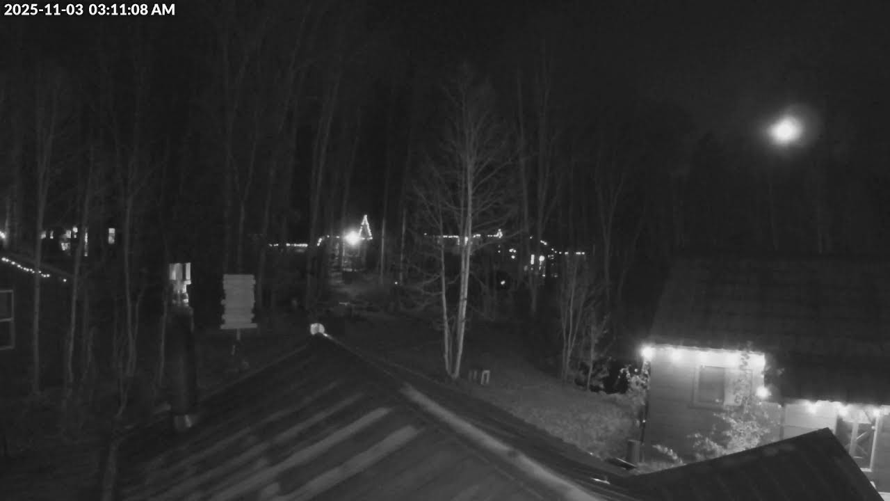 Live Leaf Cam - Desolation Hotel Hope Valley - YouTube
