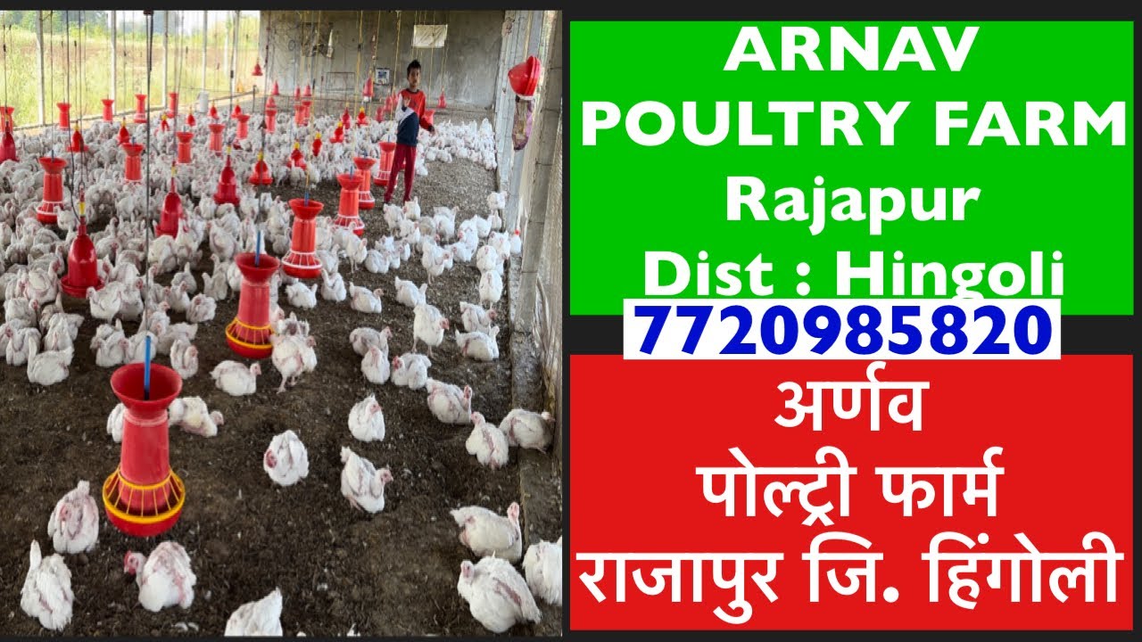 Arnav Poultry Farm ॥ अर्णव पोल्ट्री फार्म - YouTube