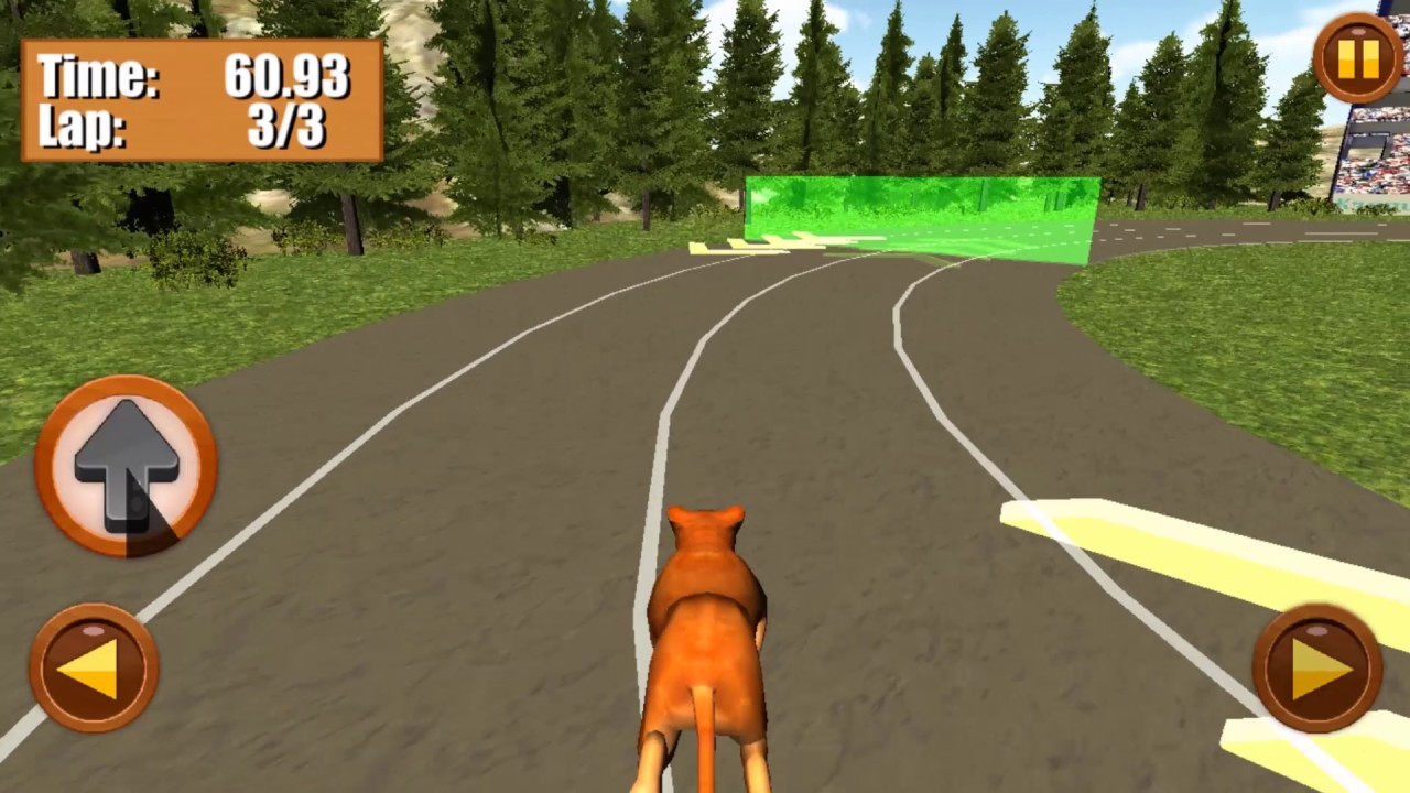 Wild Animal Racing Fever 3D HD Gameplay Android/IOS - YouTube